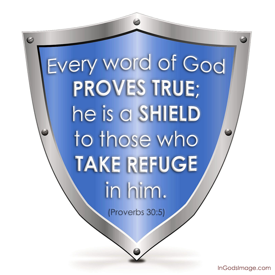 Weekend Wisdom Proverbs 30 5 In God s Image Weekend Wisdom Proverbs 30 5 In God s Image