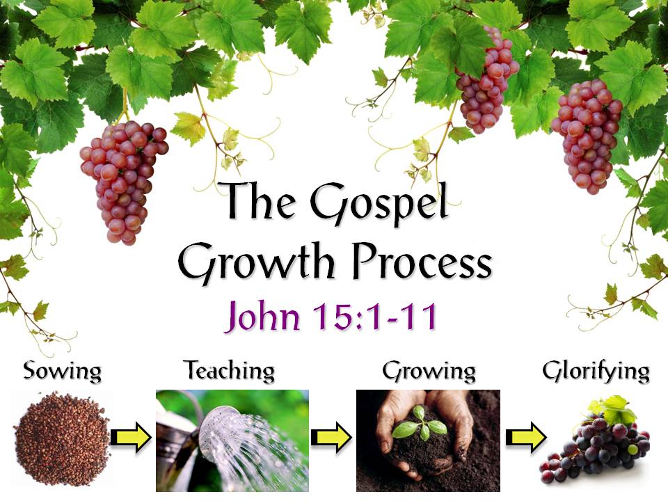 The Gospel Growth Process – In God's Image