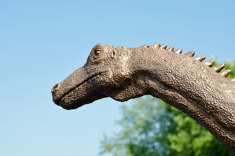 Creation Museum Photo Tour – In God's Image