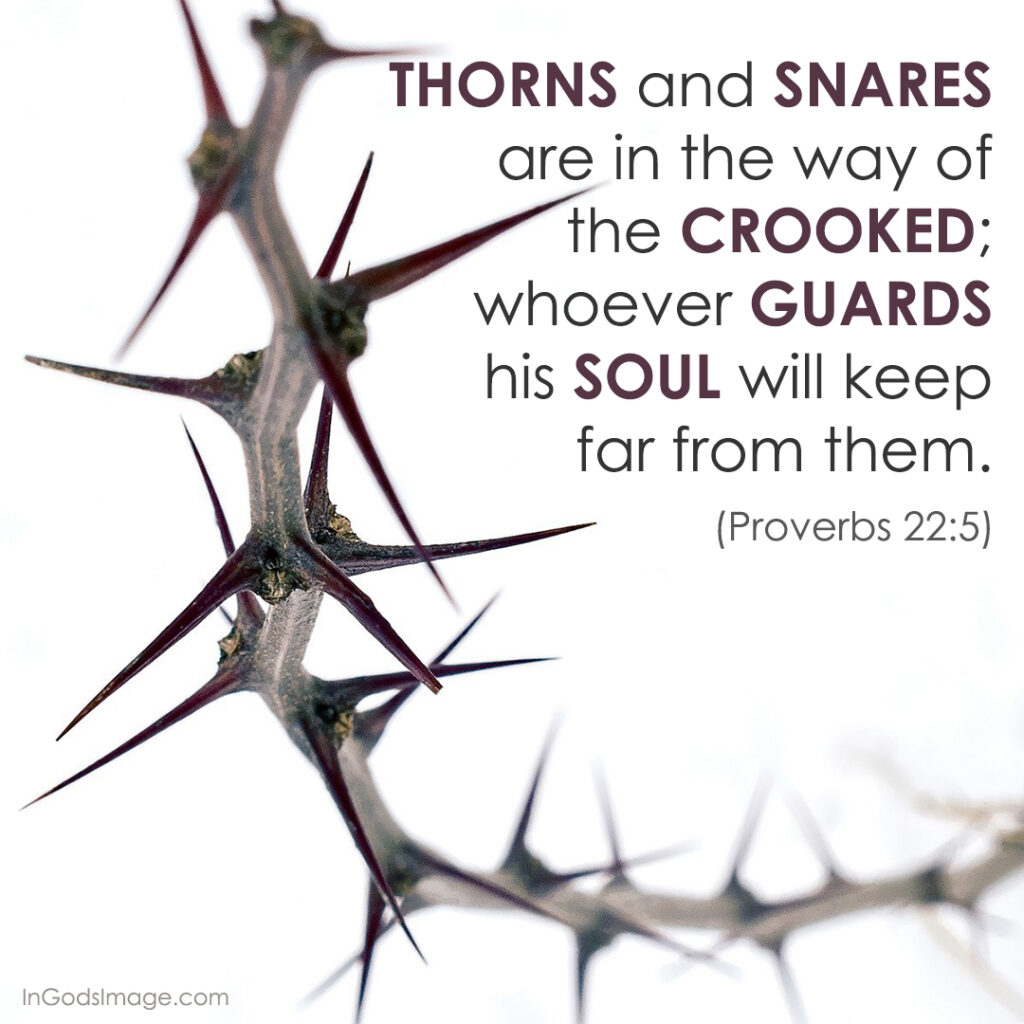 Weekend Wisdom – Proverbs 22:5 – In God's Image
