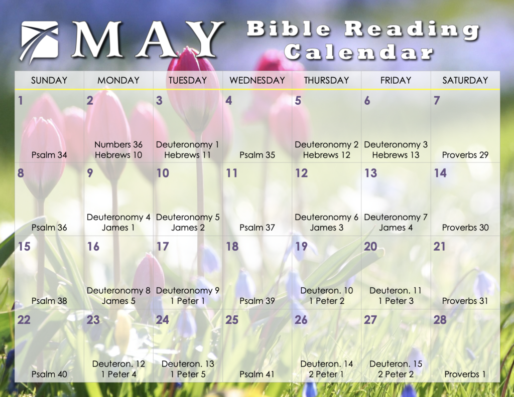 Reading Calendars – In God's Image