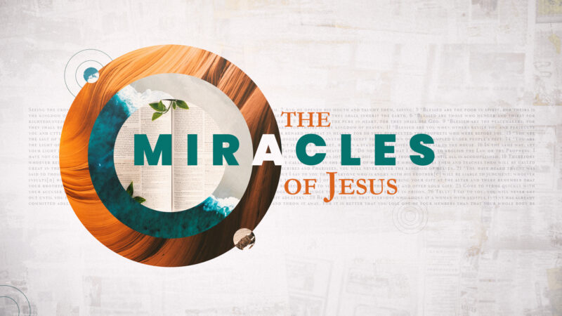 Building Blocks: The Miracles of Jesus – In God's Image